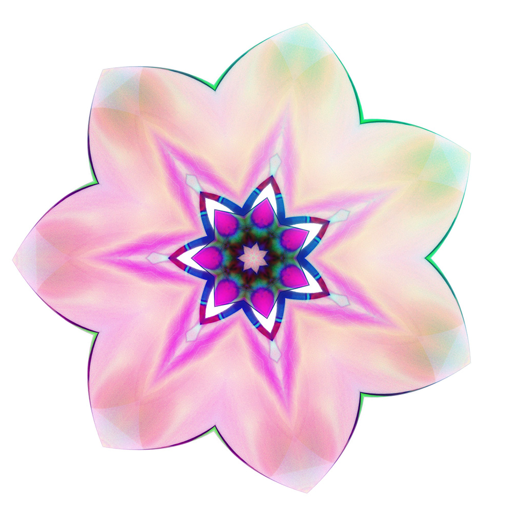 Digital Flowers – CHRIS KEEGAN