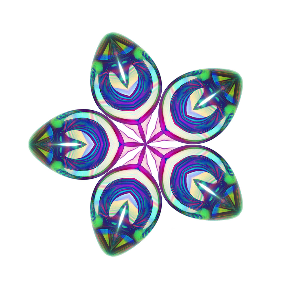 Digital Flowers – CHRIS KEEGAN