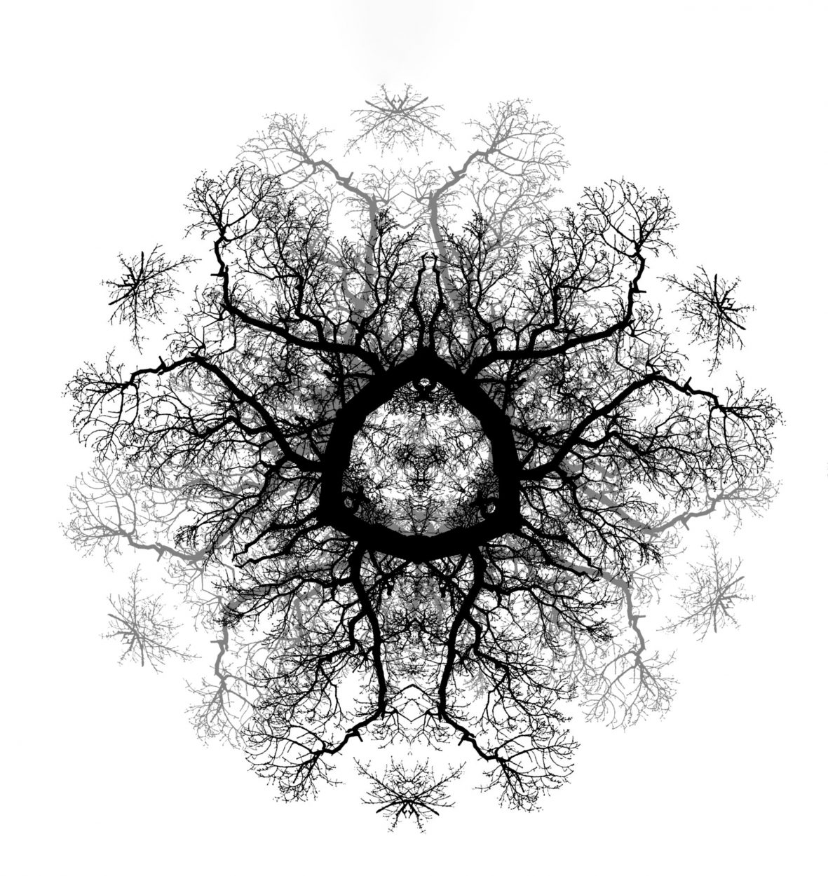 Tessellations – CHRIS KEEGAN