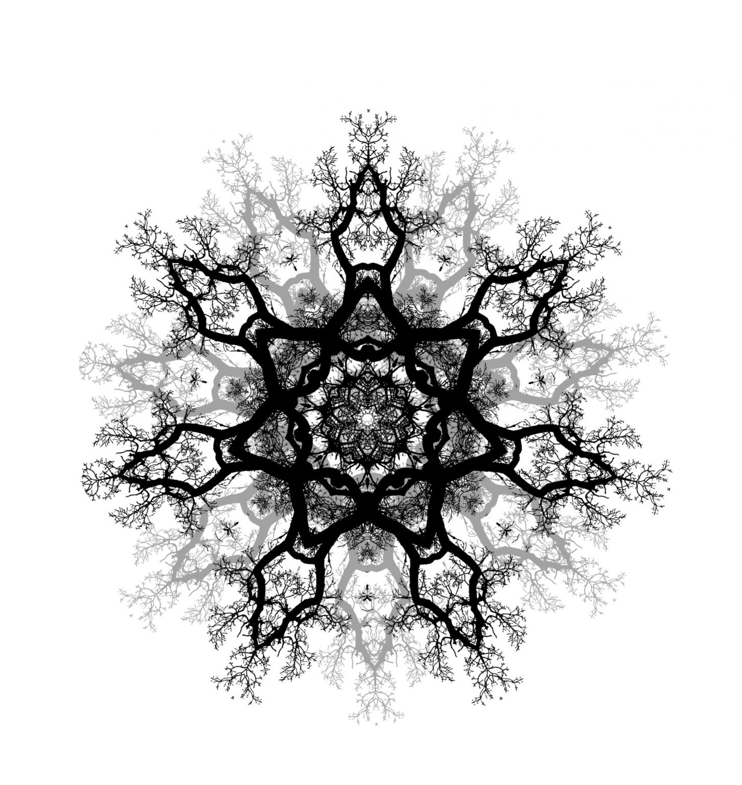 Tessellations – CHRIS KEEGAN