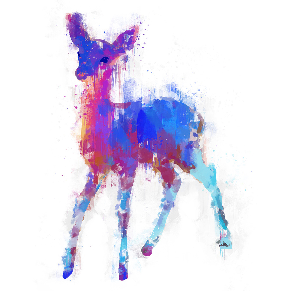 Animal Illustrations – CHRIS KEEGAN